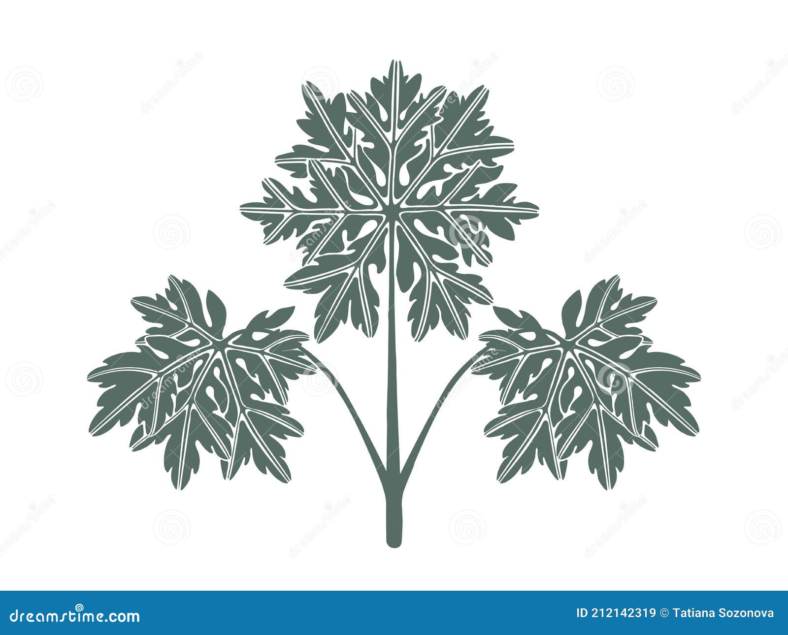 Logo Lace Geranium Leaves. Flat Design Elements Stock Vector ...