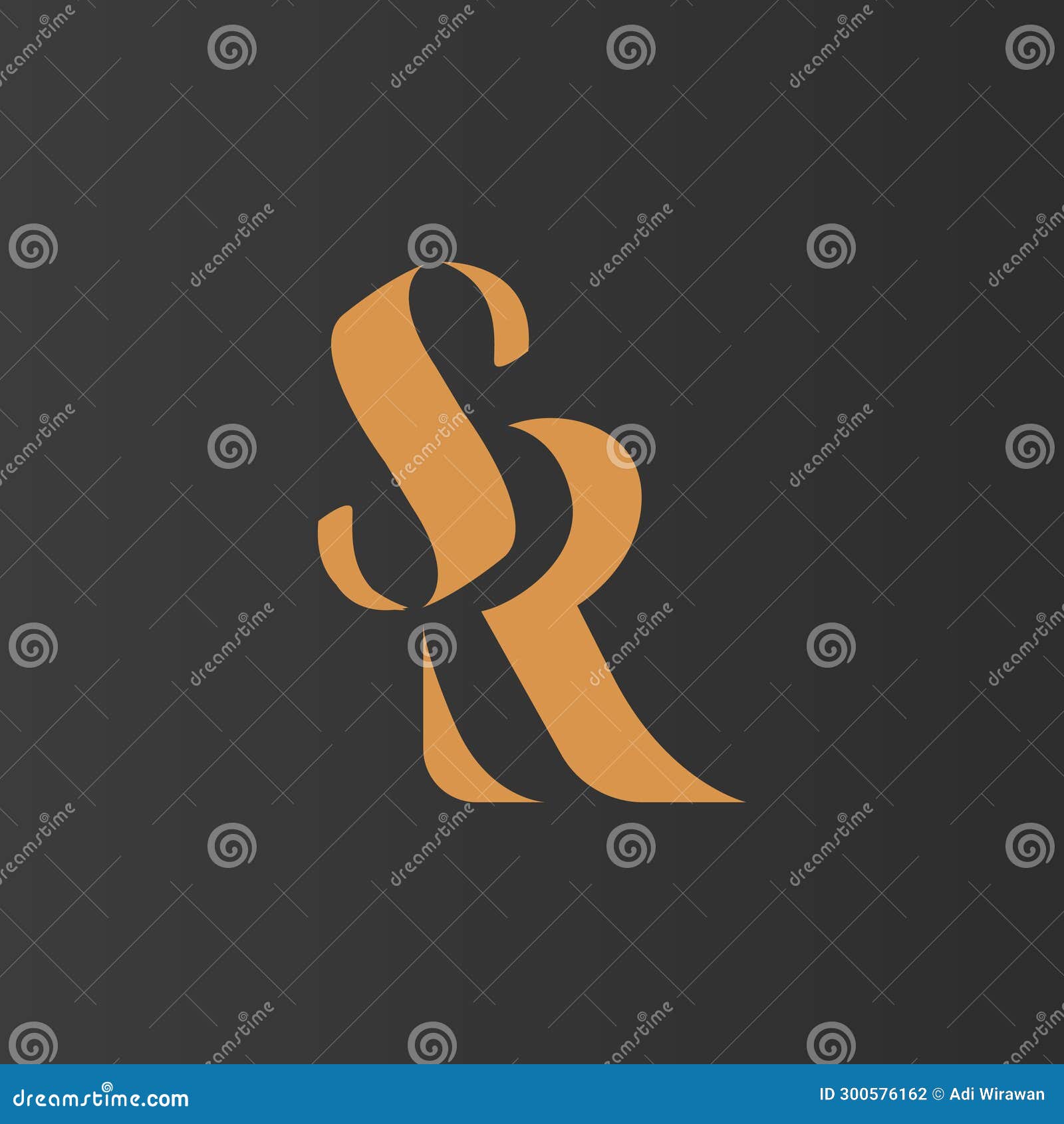 Logo Letter SR Monogram Golden Logos Vector Illustration ...