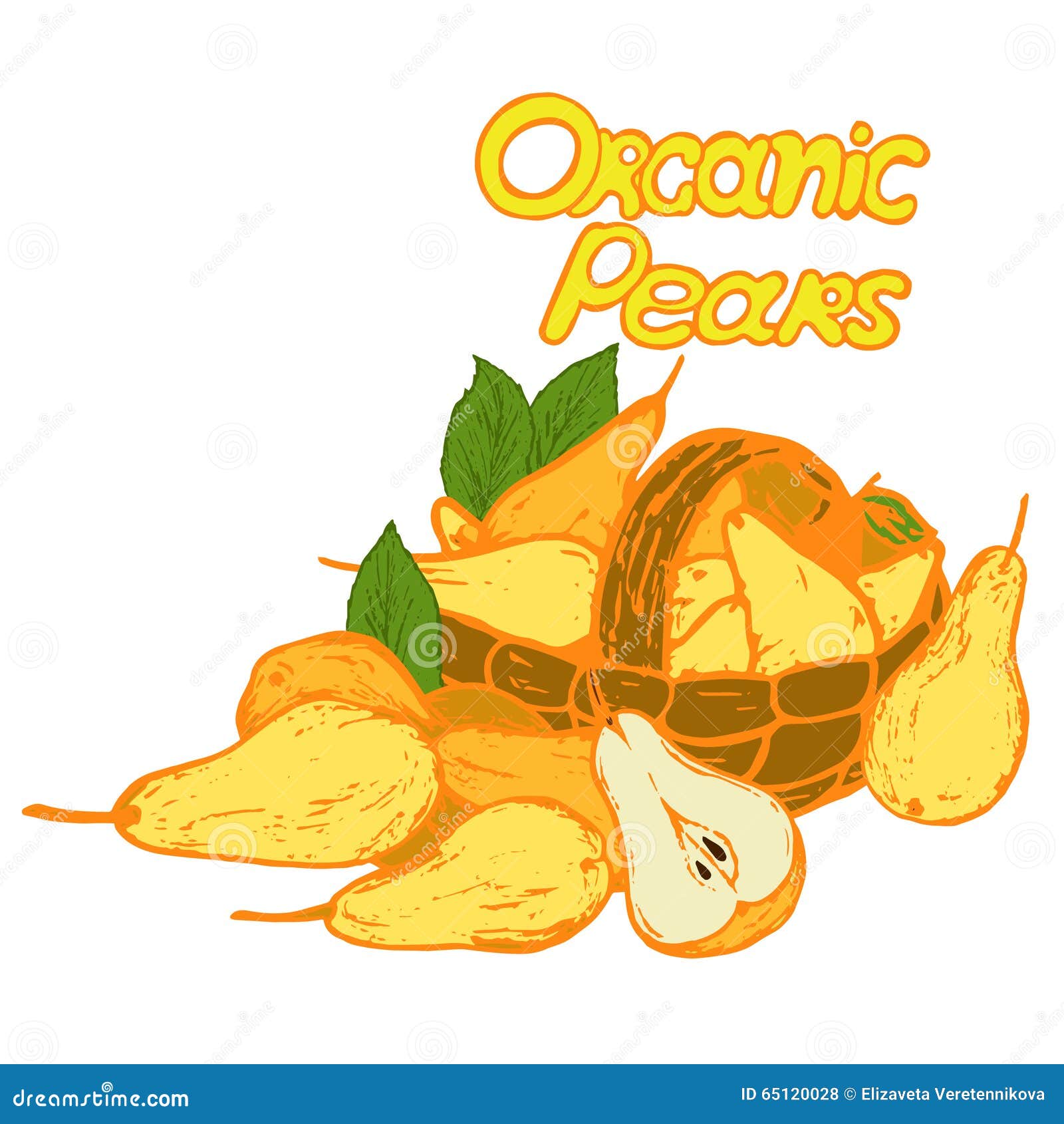 Logo organic pears stock vector. Illustration of isolated - 65120028