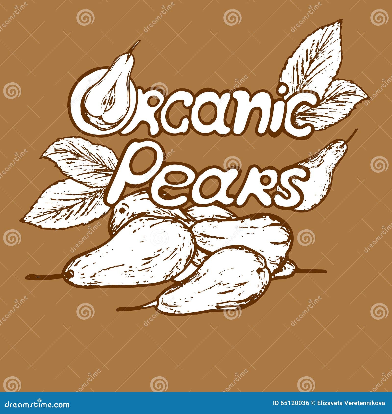 Logo organic pears stock vector. Illustration of organic - 65120036