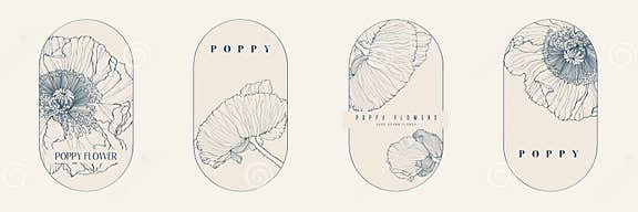 Hand Drawn Feminine Logo Templates Set. Poppy Flowers Illustration with ...
