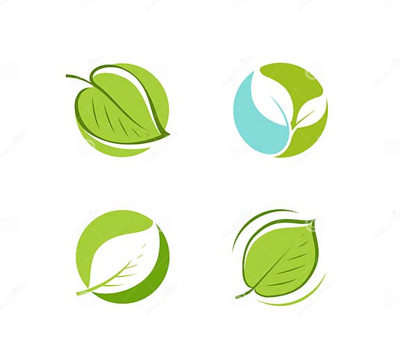Logo Vert De Feuille Symbole Décologie De Nature De Feuilles Ou