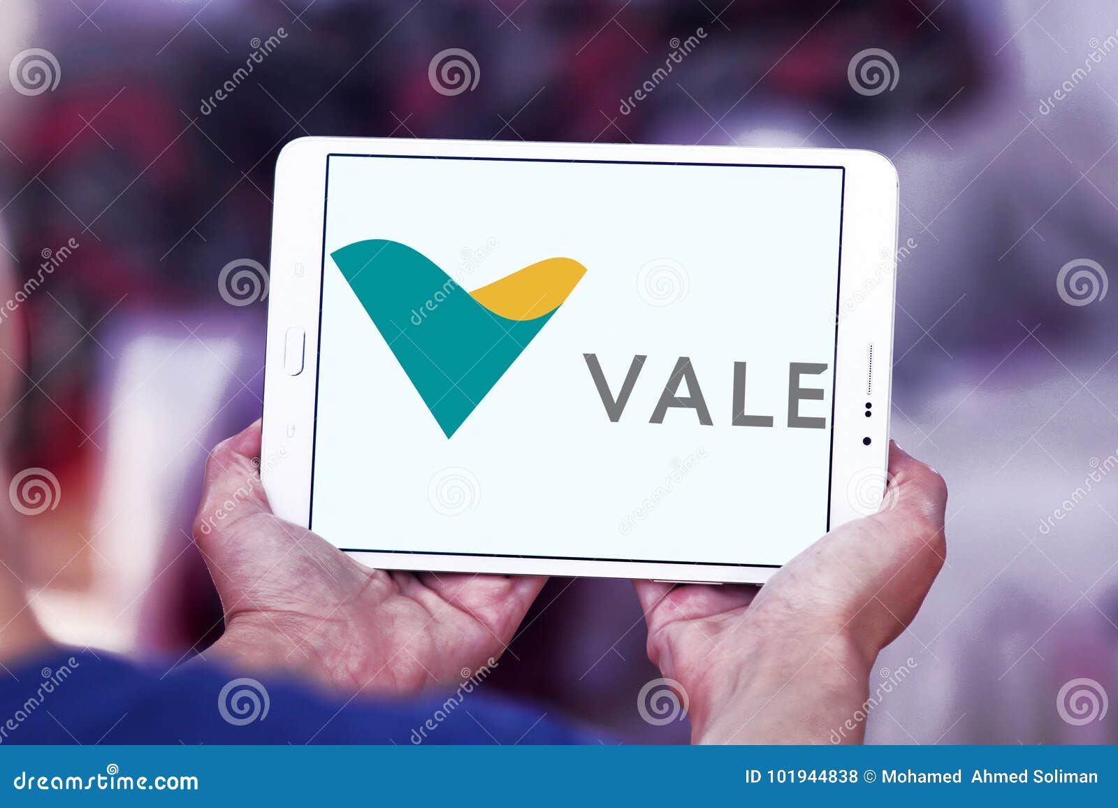 Logotipo Da Empresa Do Vale Foto de Stock Editorial - Imagem de cobalto ...