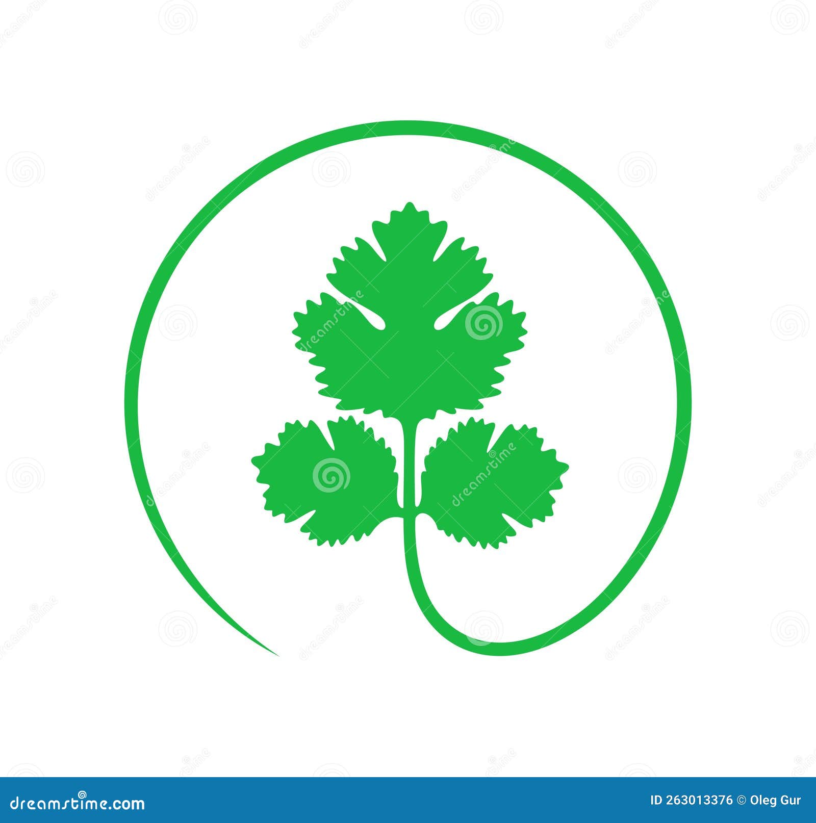 Logotipo De Coriander. Cilantro Aislado Sobre Fondo Blanco Ilustración ...