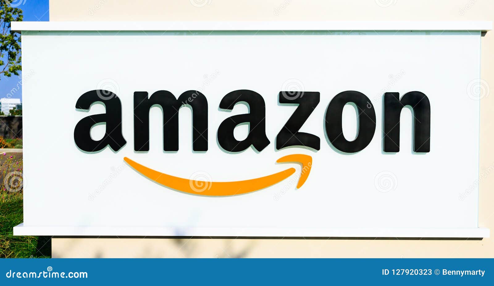 Logotipo Do Sinal Das Amazonas Foto de Stock Editorial - Imagem de ...