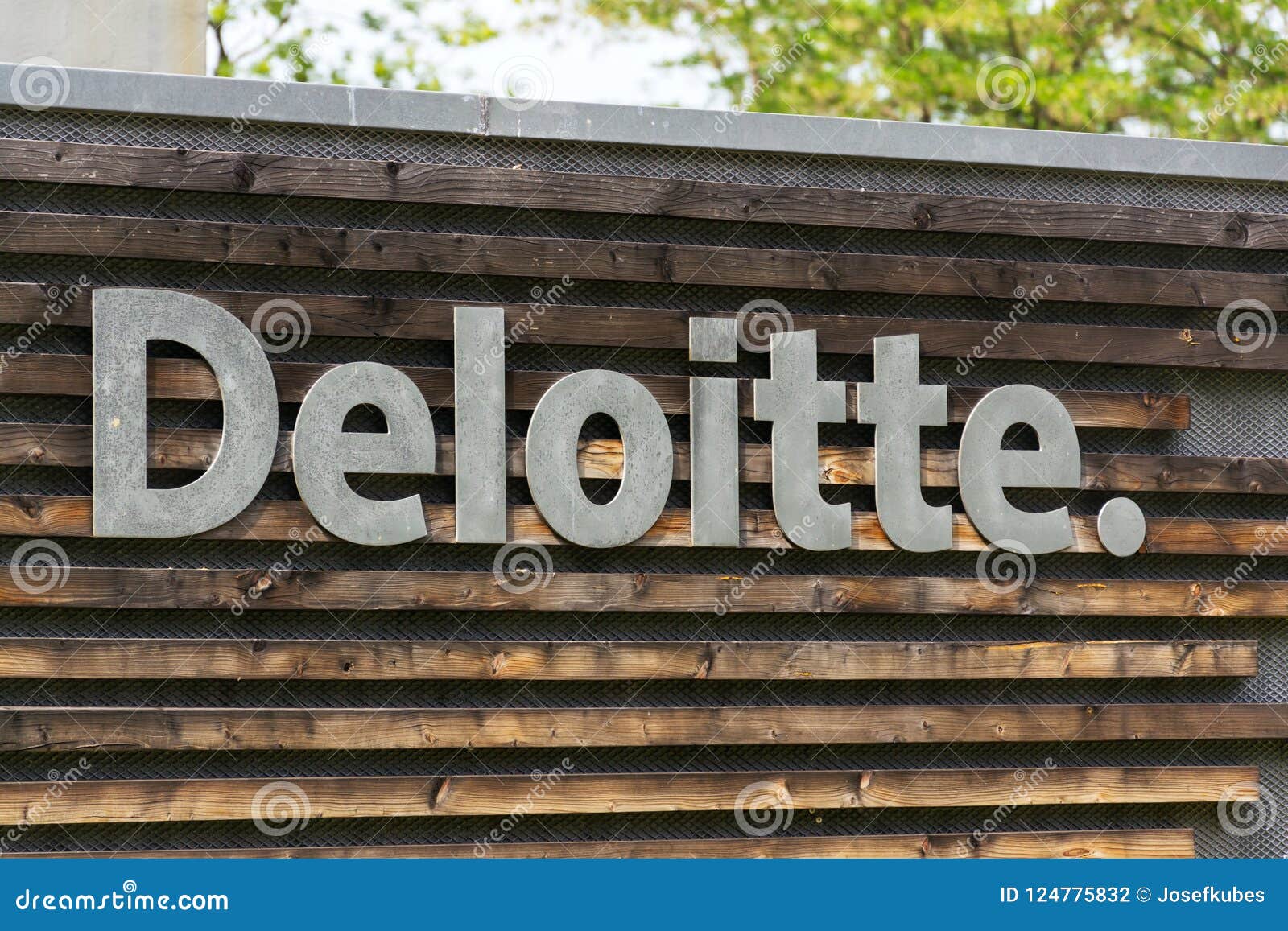 Logotipo Profesional De La Red De La Empresa De Servicios De Deloitte ...