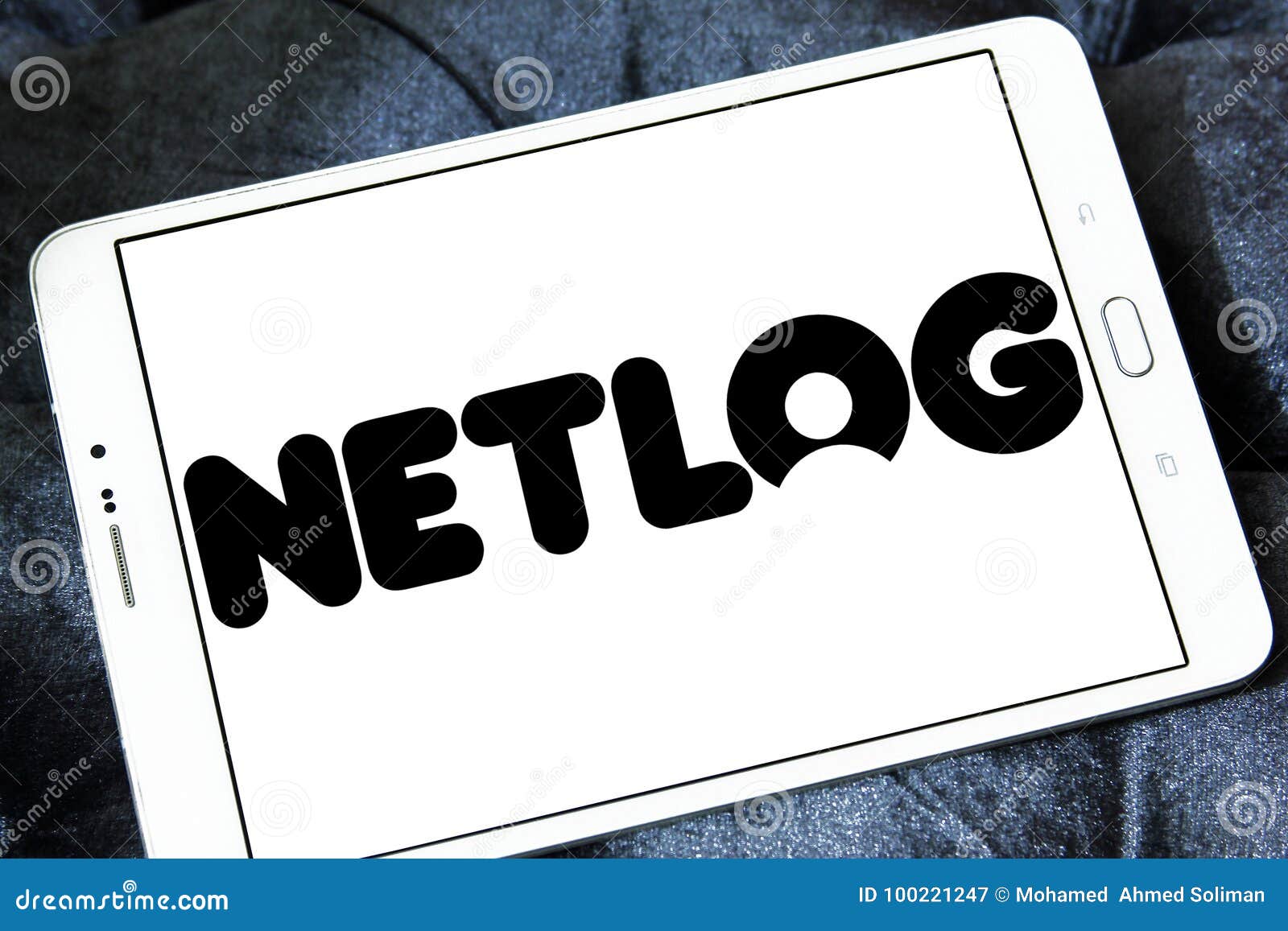 Logotipo Social Del Sitio Web Del Establecimiento De Una Red De Netlog ...