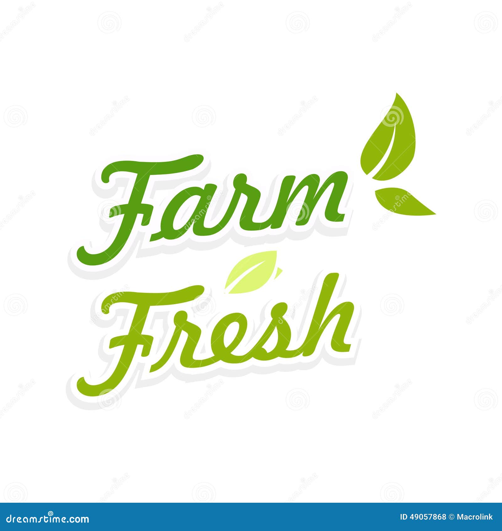 Logotype Farm Fresh stock vector. Illustration of calligraphic - 49057868