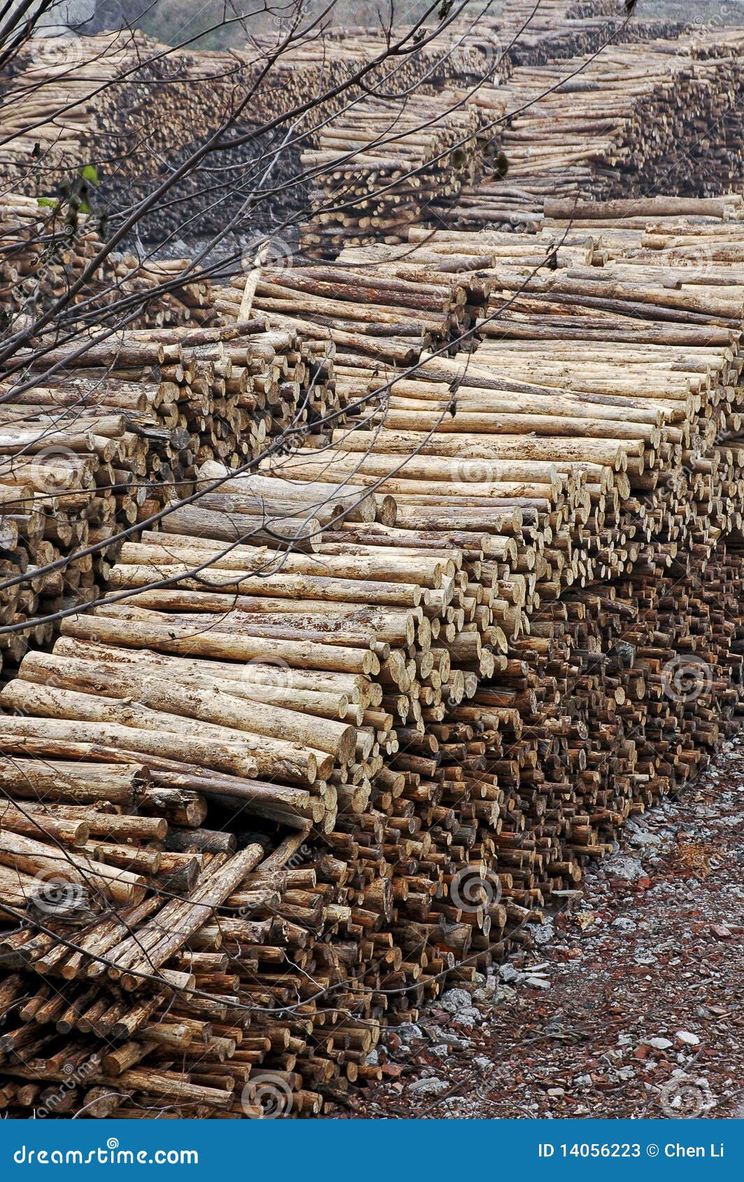 Logs stock image. Image of wood, trees, texture, stacked - 14056223