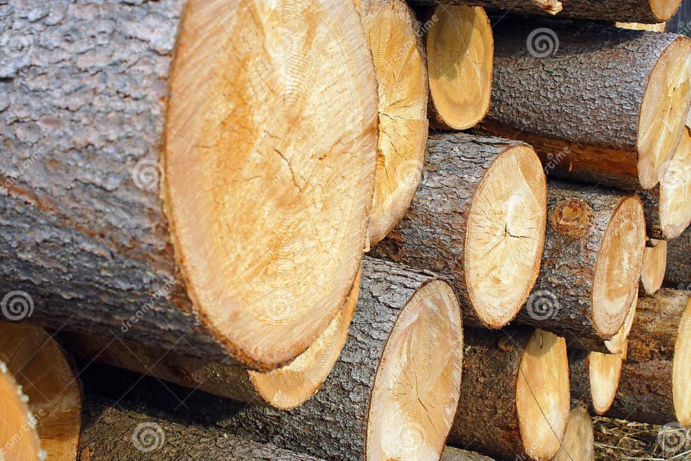 Logs stock image. Image of drop, logs, round, wood, timber - 14836615