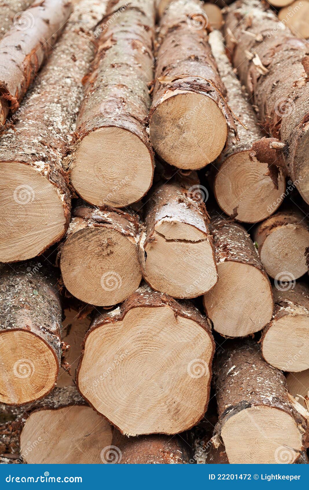 Logs stock photo. Image of trees, material, round, bark - 22201472