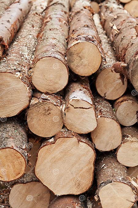 Logs stock photo. Image of trees, material, round, bark - 22201472