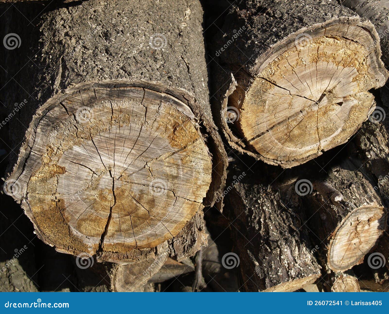 Logs stock image. Image of textured, grey, nature, natural - 26072541