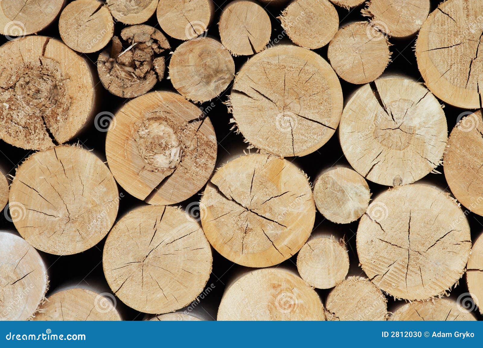 Logs stock photo. Image of closeup, slice, environmentalism - 2812030