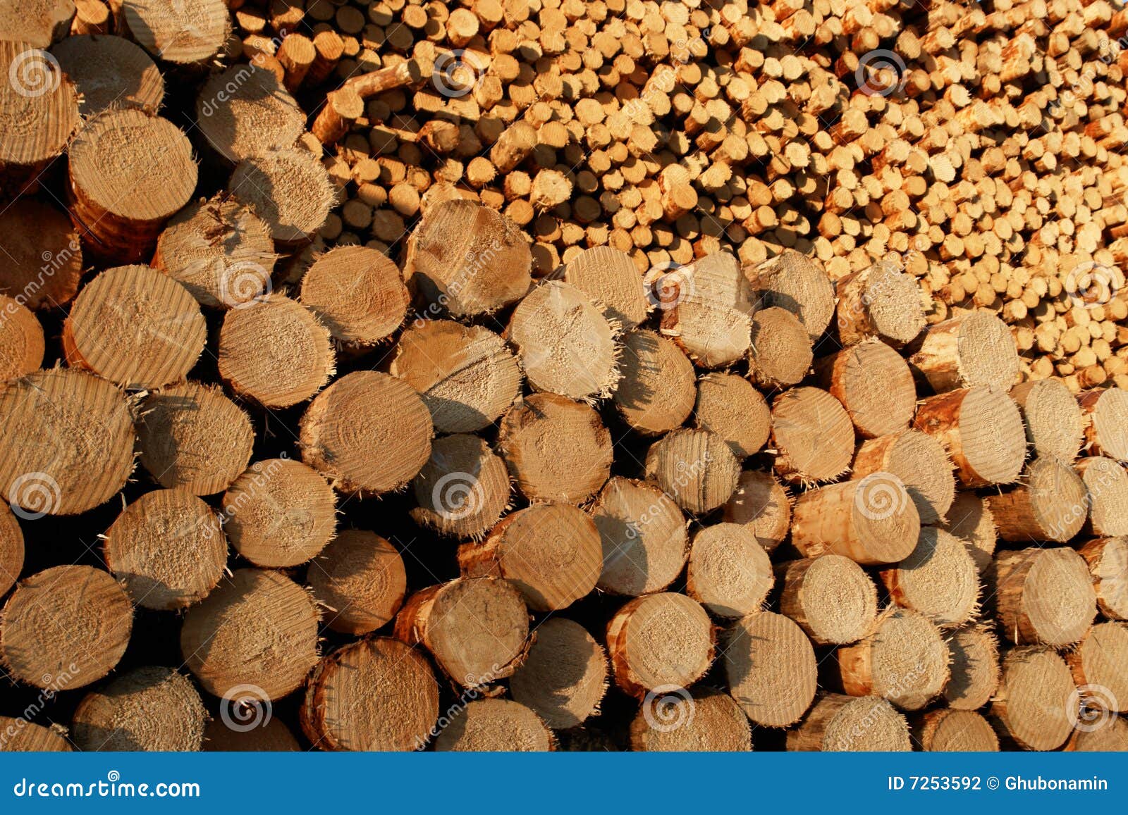 Logs stock photo. Image of lumber, circle, pine, organization - 7253592