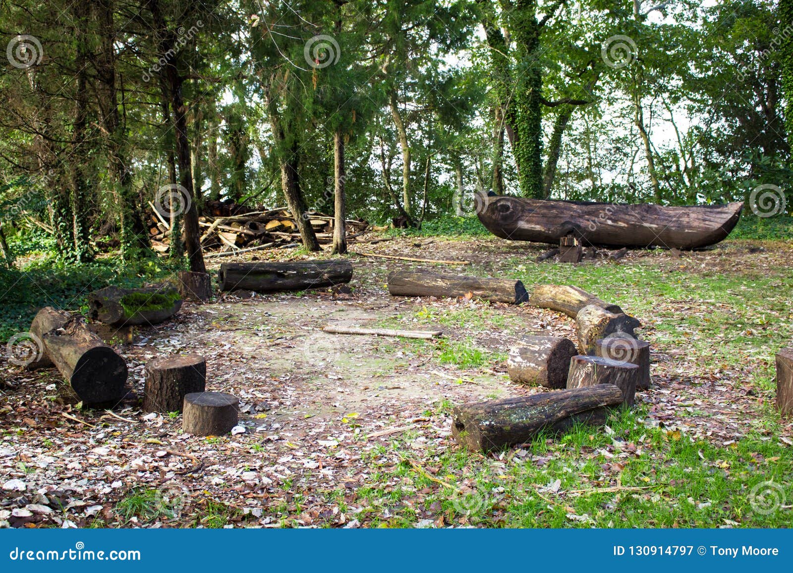 Logs around Camp stock image. Image of natural, wooden - 130914797