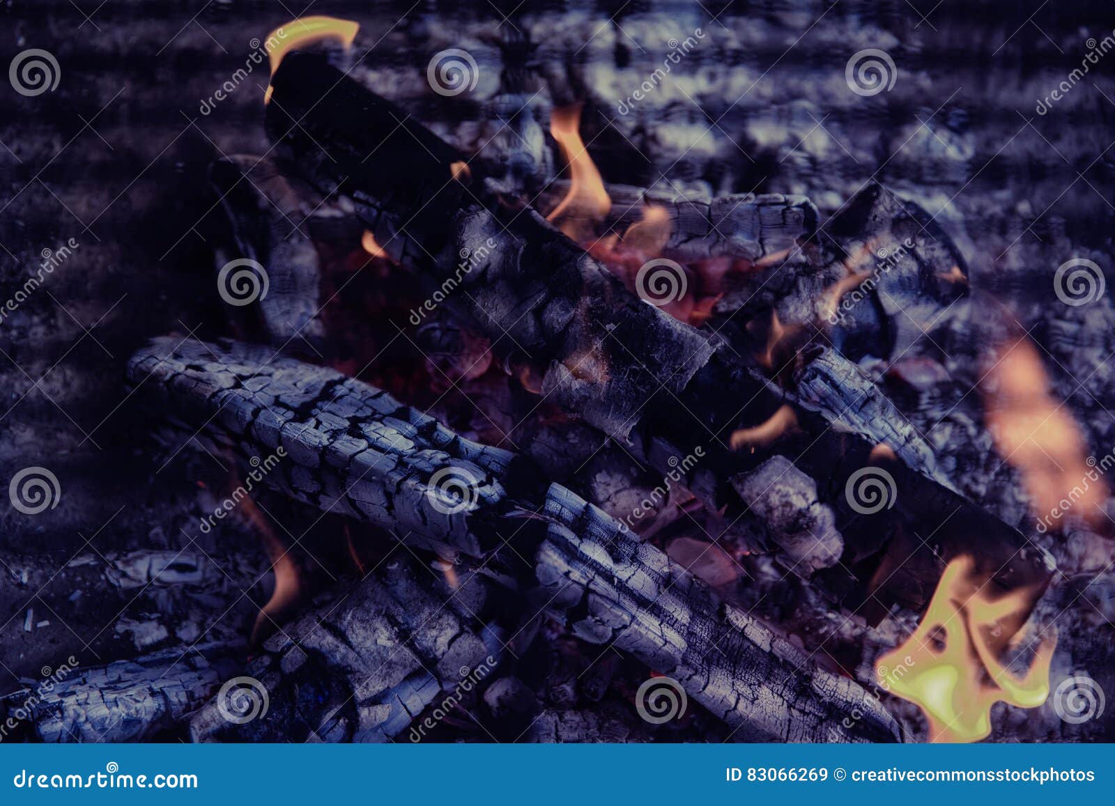 Logs In Bonfire Picture. Image: 83066269
