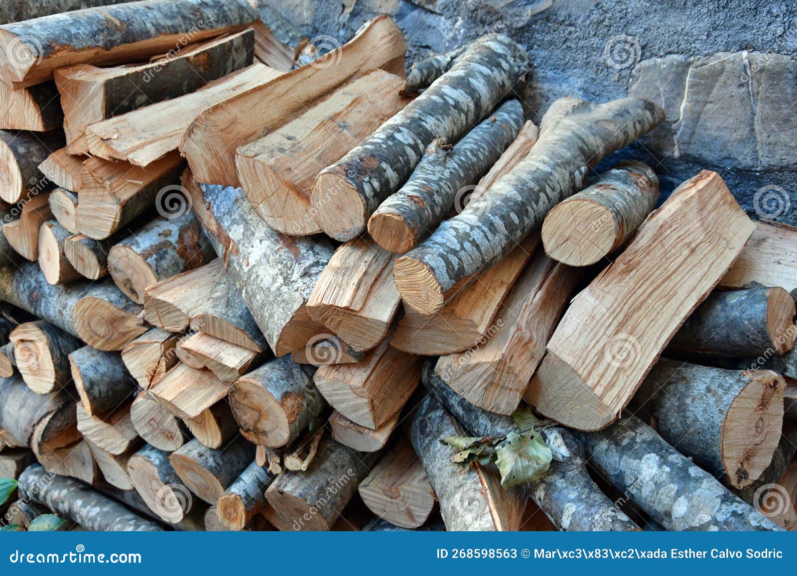 Logs and branches stock image. Image of lumberjack, stacked - 268598563