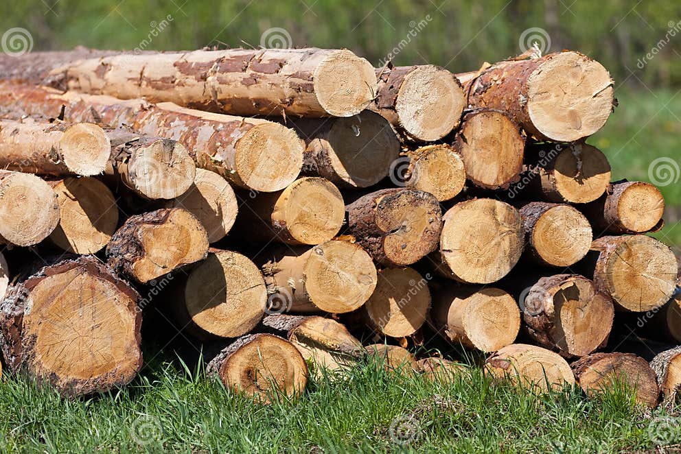 Logs for building stock image. Image of green, outdoors - 21088093