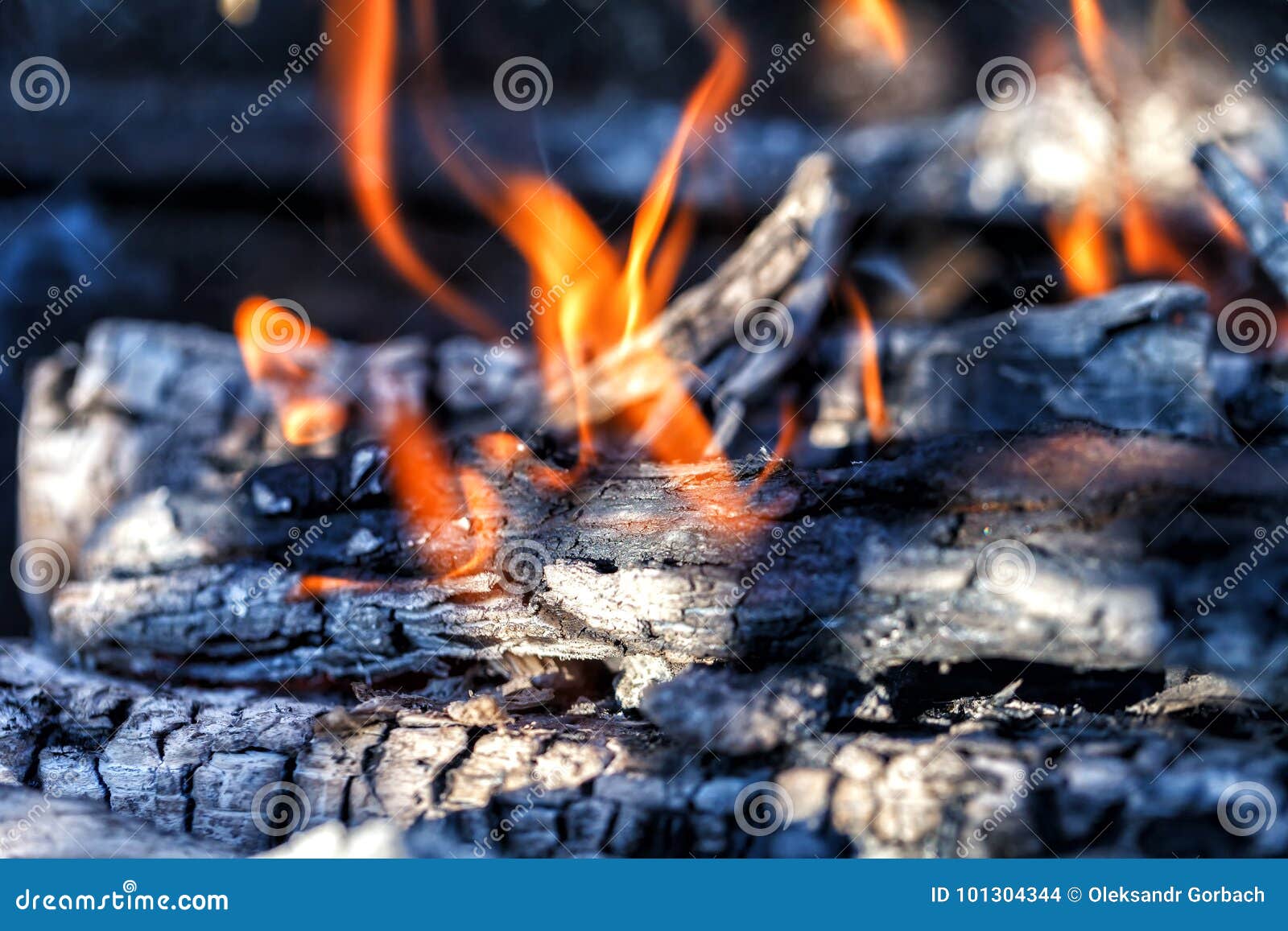 Logs Burn with a Bright Flame Stock Photo - Image of energy, bonfire ...