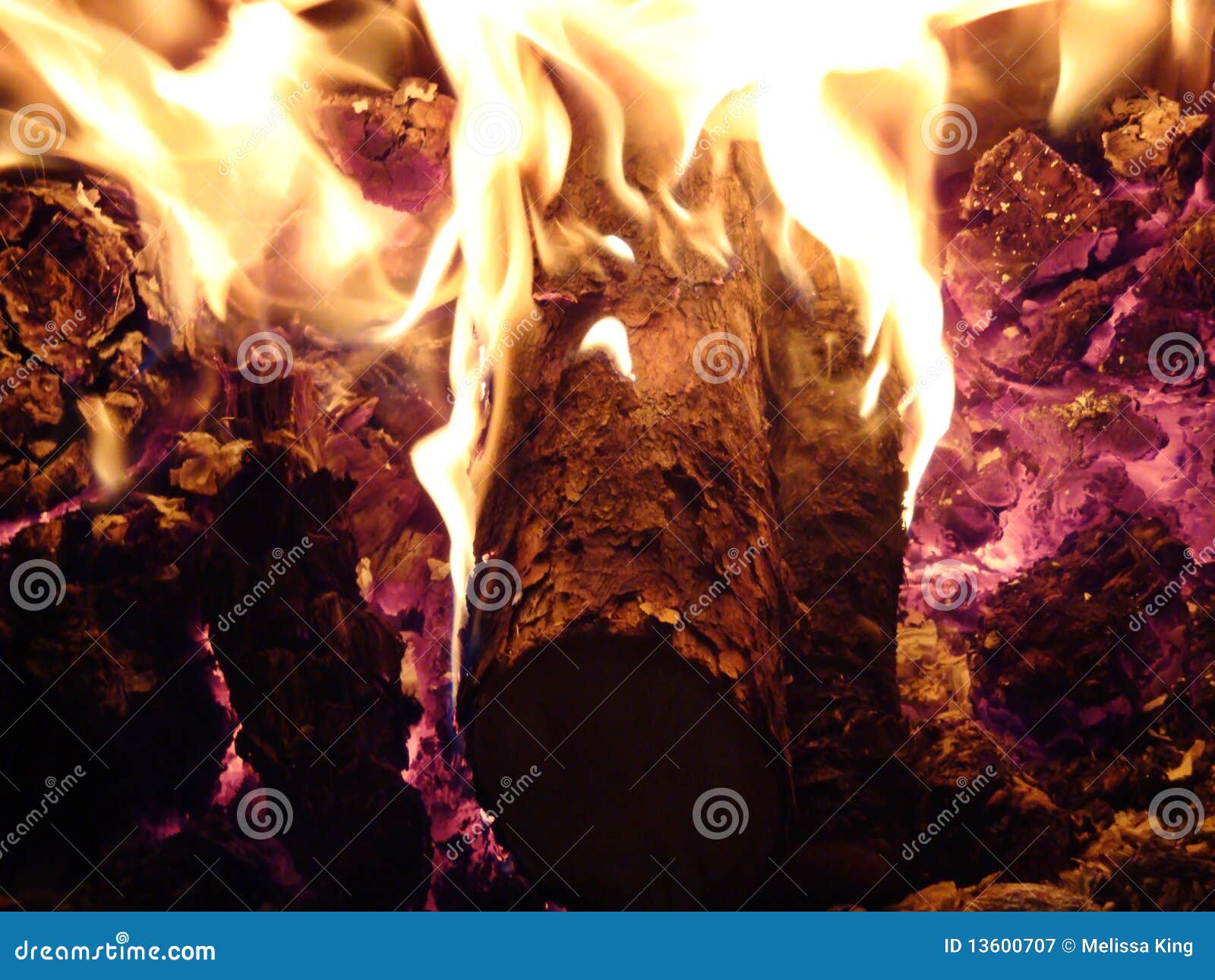 Logs burning in fire stock image. Image of wood, power - 13600707