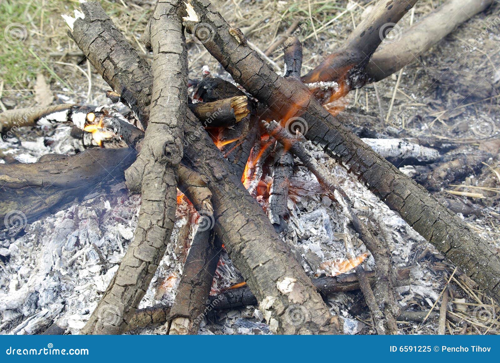 Logs on campfire stock image. Image of fire, campsite - 6591225