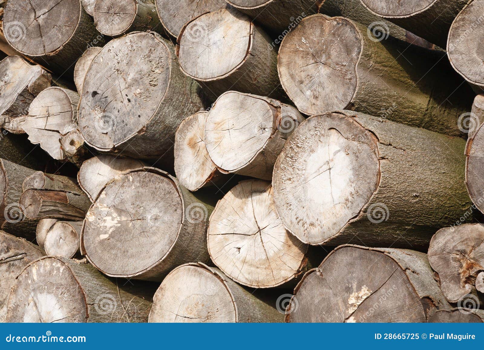 Logs close up stock image. Image of brown, environmental - 28665725