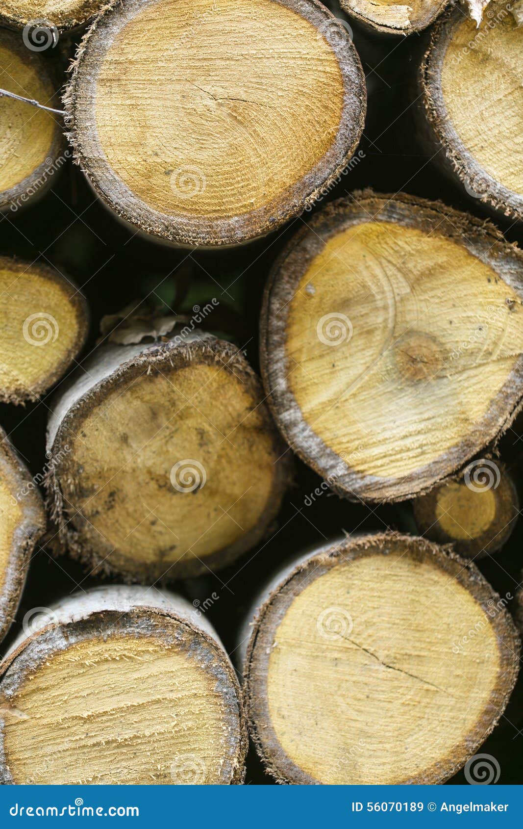 Logs stock image. Image of nature, wood, carpentry, logs - 56070189