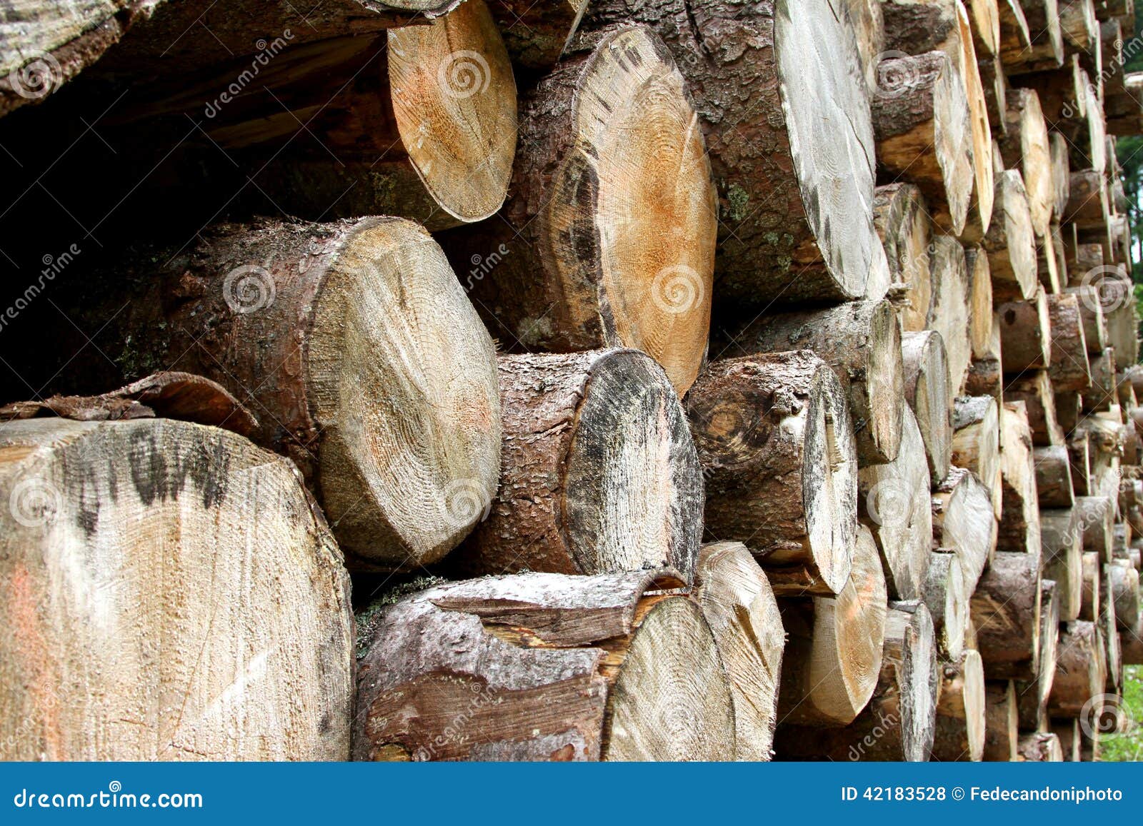 Logs Cut by Loggers in the Mountain 3 Stock Photo - Image of nature ...