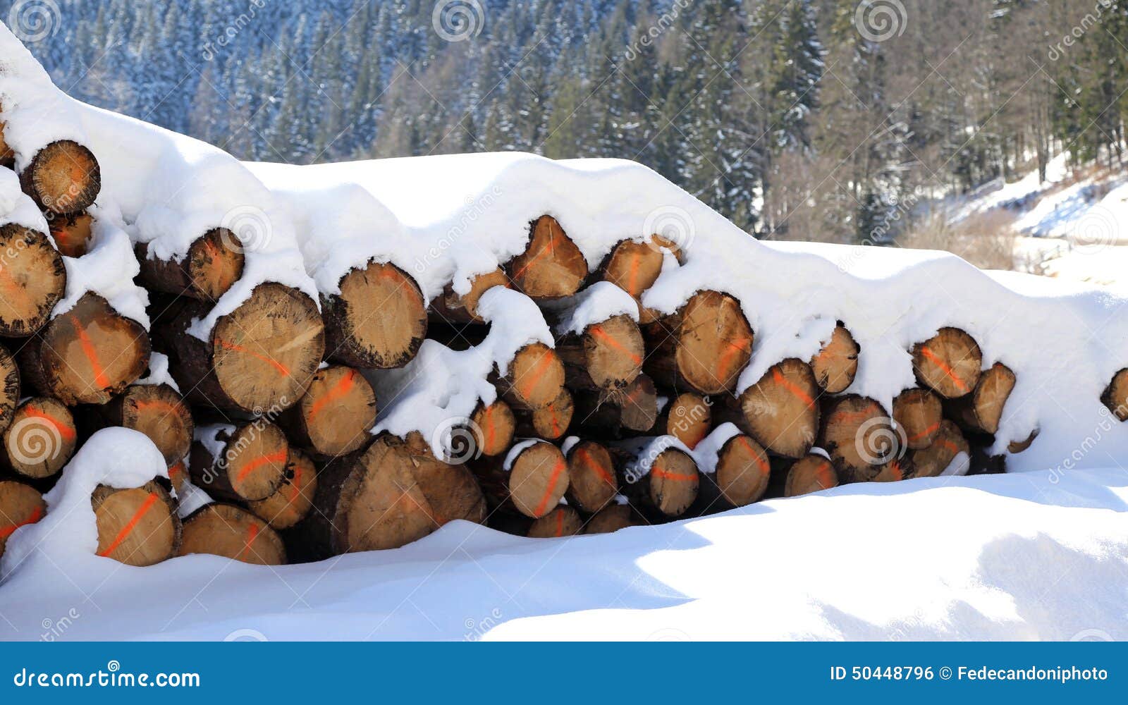 Logs Cut in the Mountains Under the White Snow Stock Photo - Image of ...