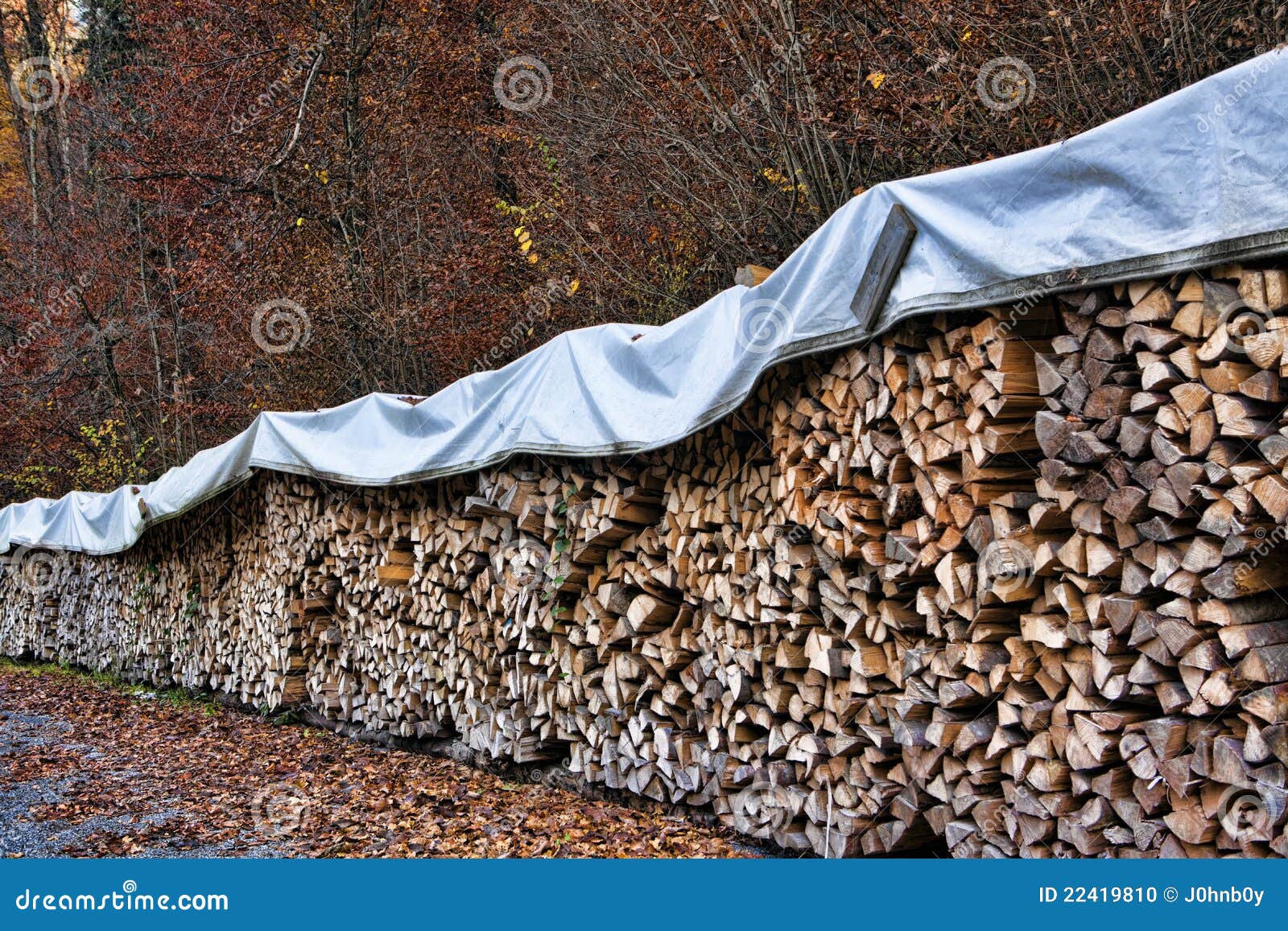 Logs drying stock photo. Image of harvest, background - 22419810