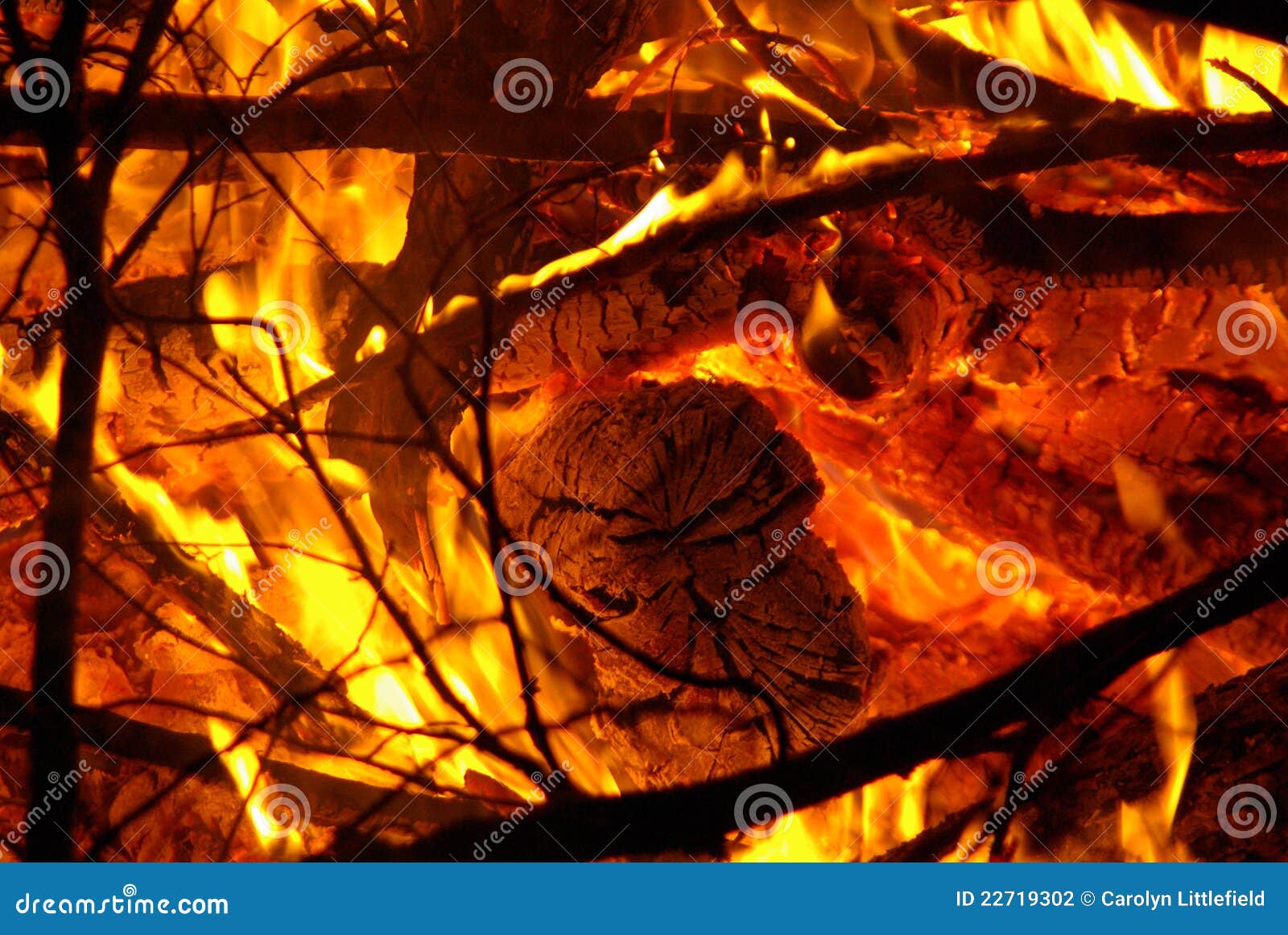 Logs on fire stock photo. Image of white, colors, burning - 22719302
