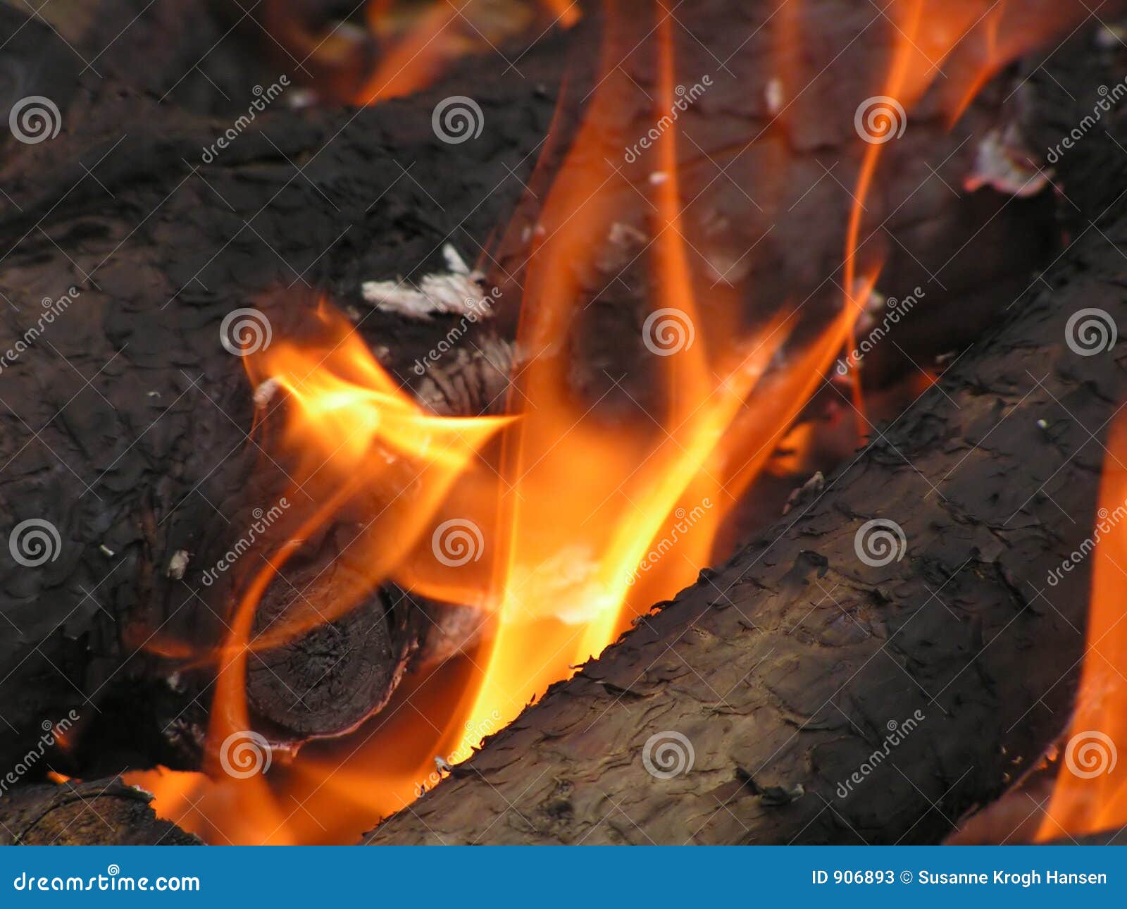Logs on fire stock image. Image of fire, orange, destroy - 906893