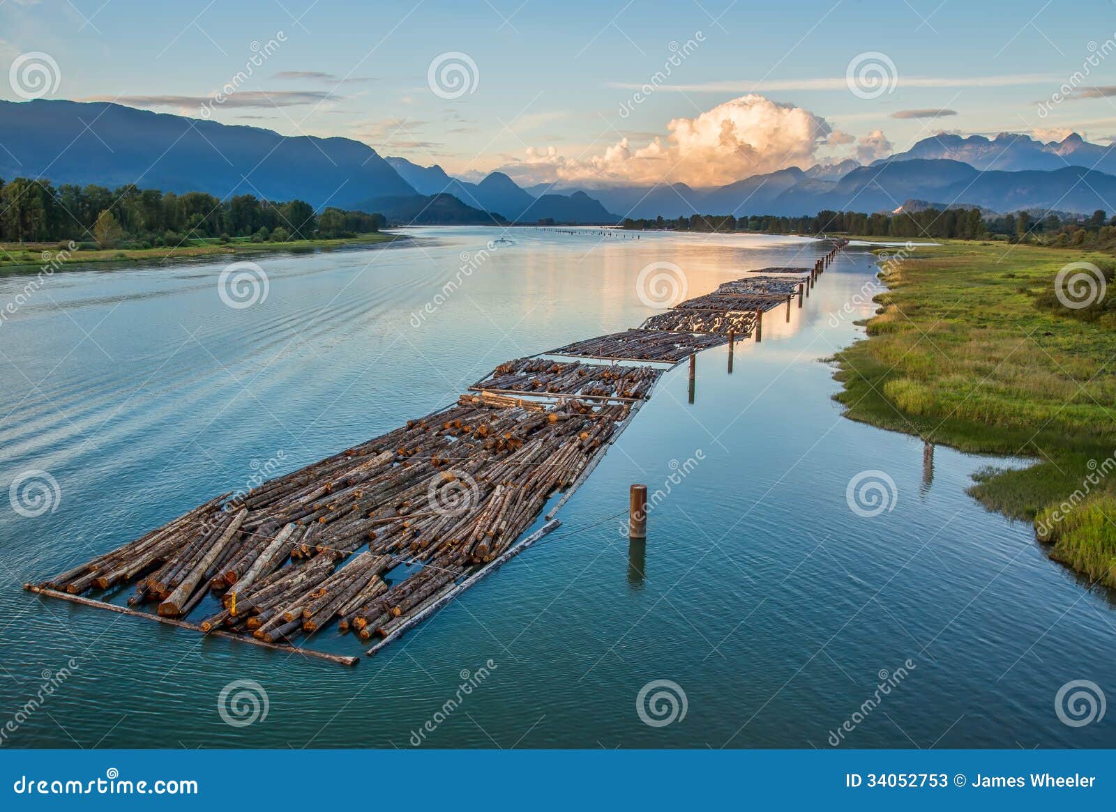 Logs Floating on River with Mountains Stock Image - Image of mountain ...