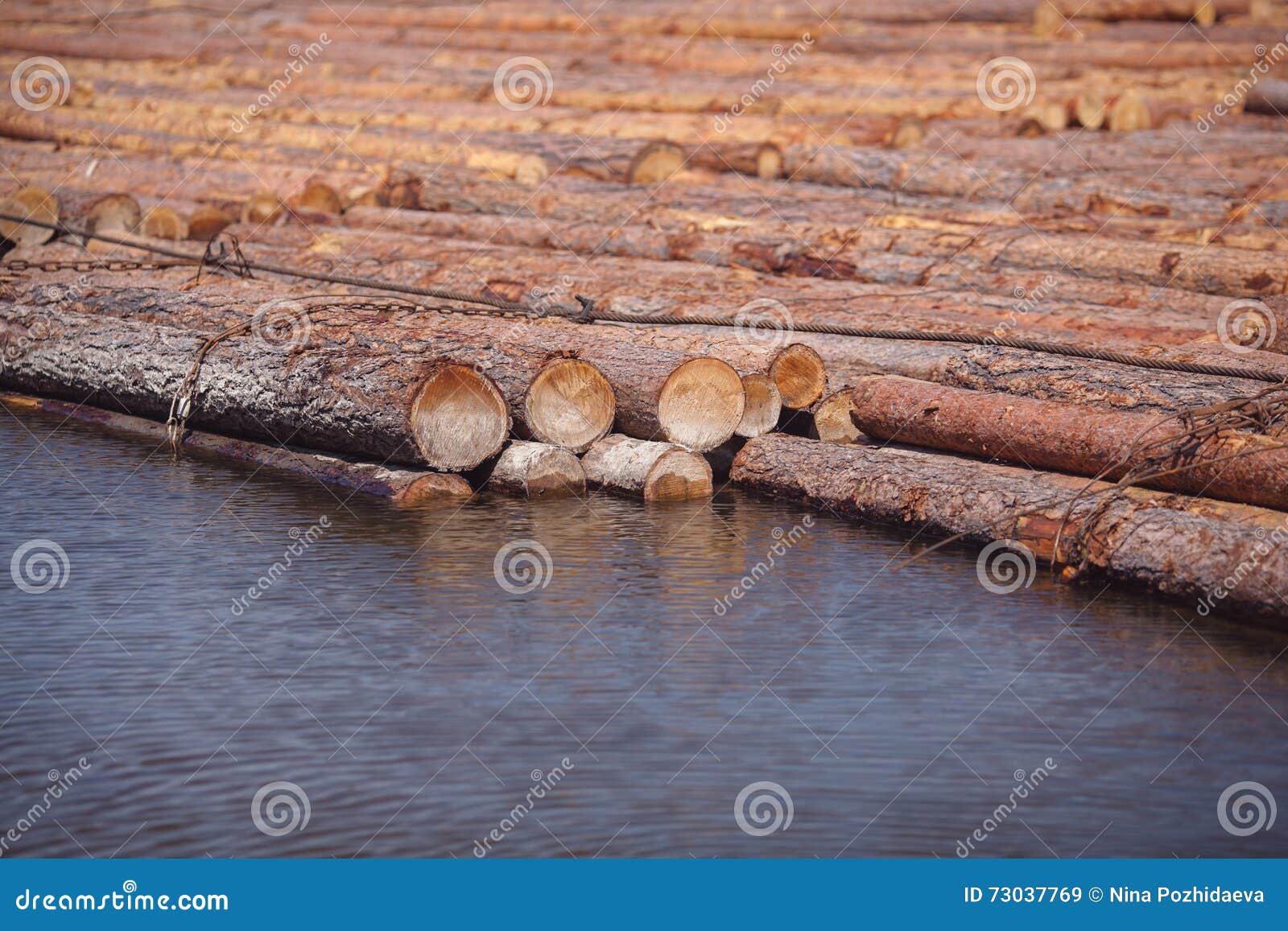 Logs floating on river stock image. Image of logging - 73037769