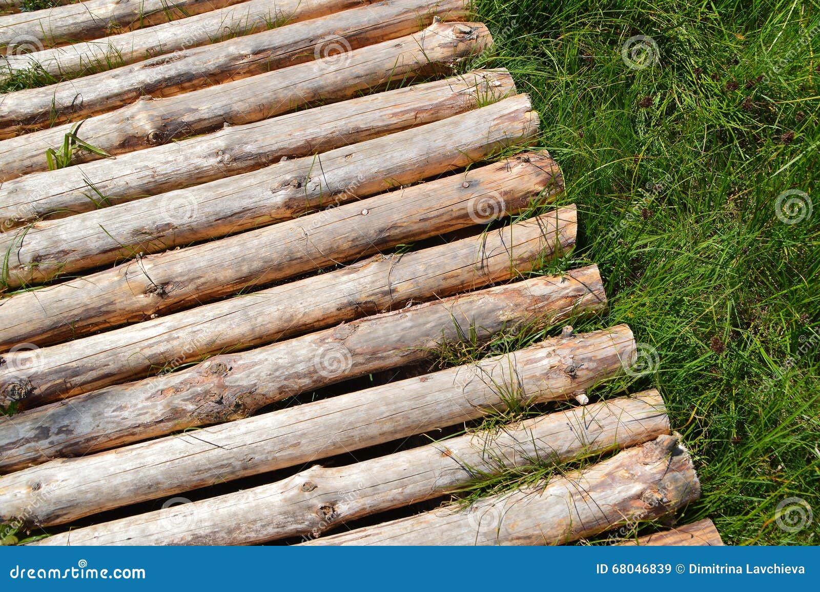 Logs on green grass stock image. Image of grass, pattern - 68046839