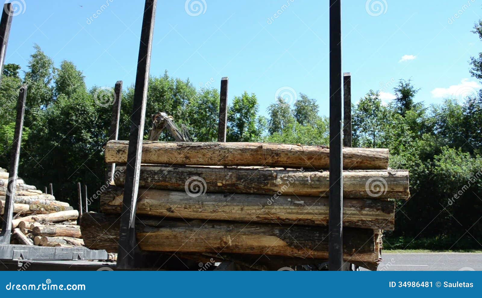 Logs loading stock video. Video of forest, sawmill, loader - 34986481