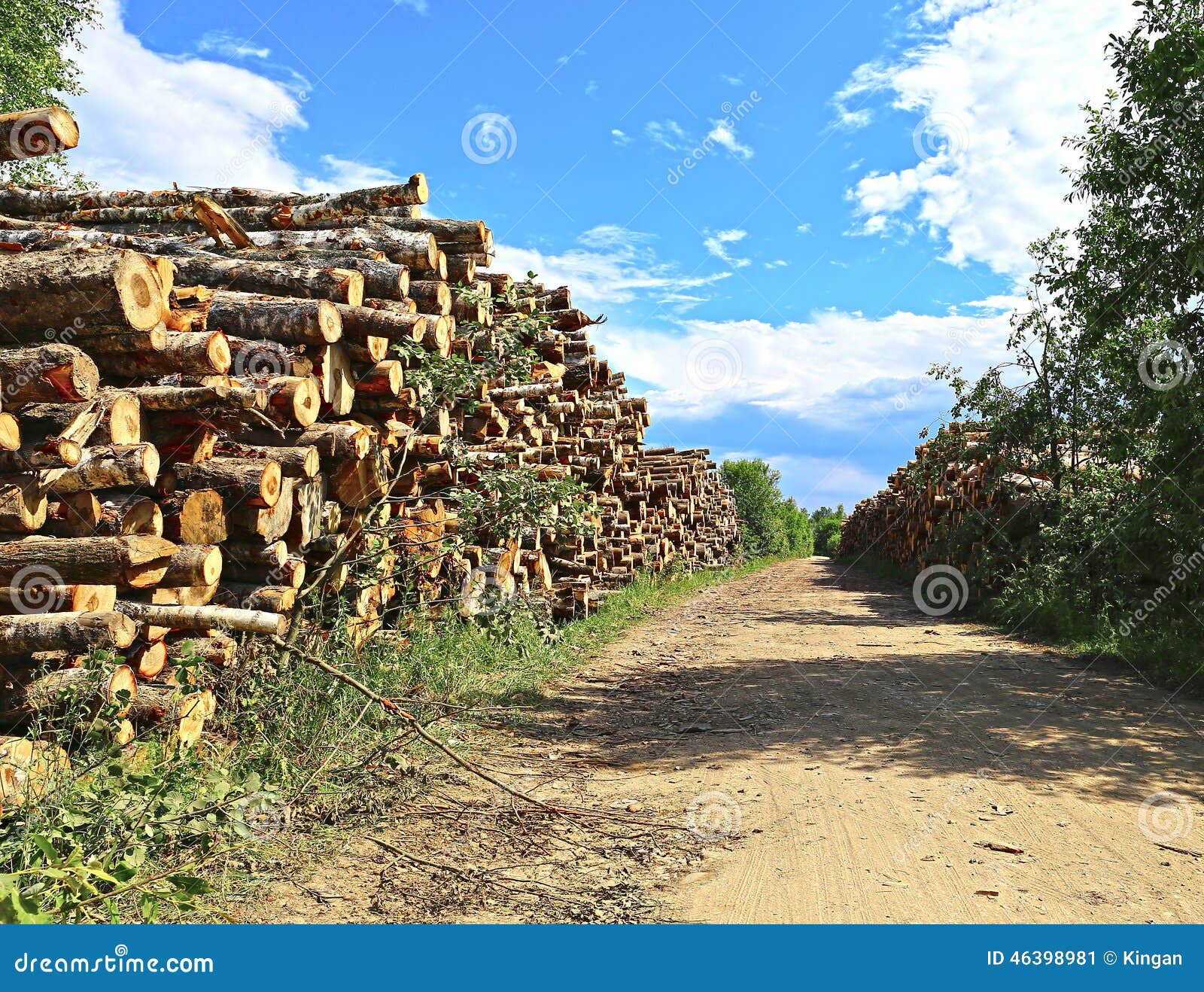 Logs in the logging stock image. Image of logging, bench - 46398981
