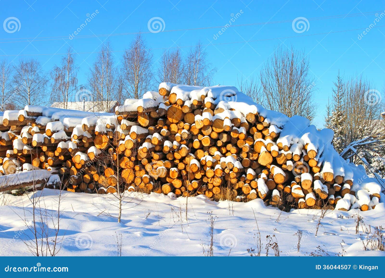 Logs in the logging stock image. Image of lumber, wood - 36044507