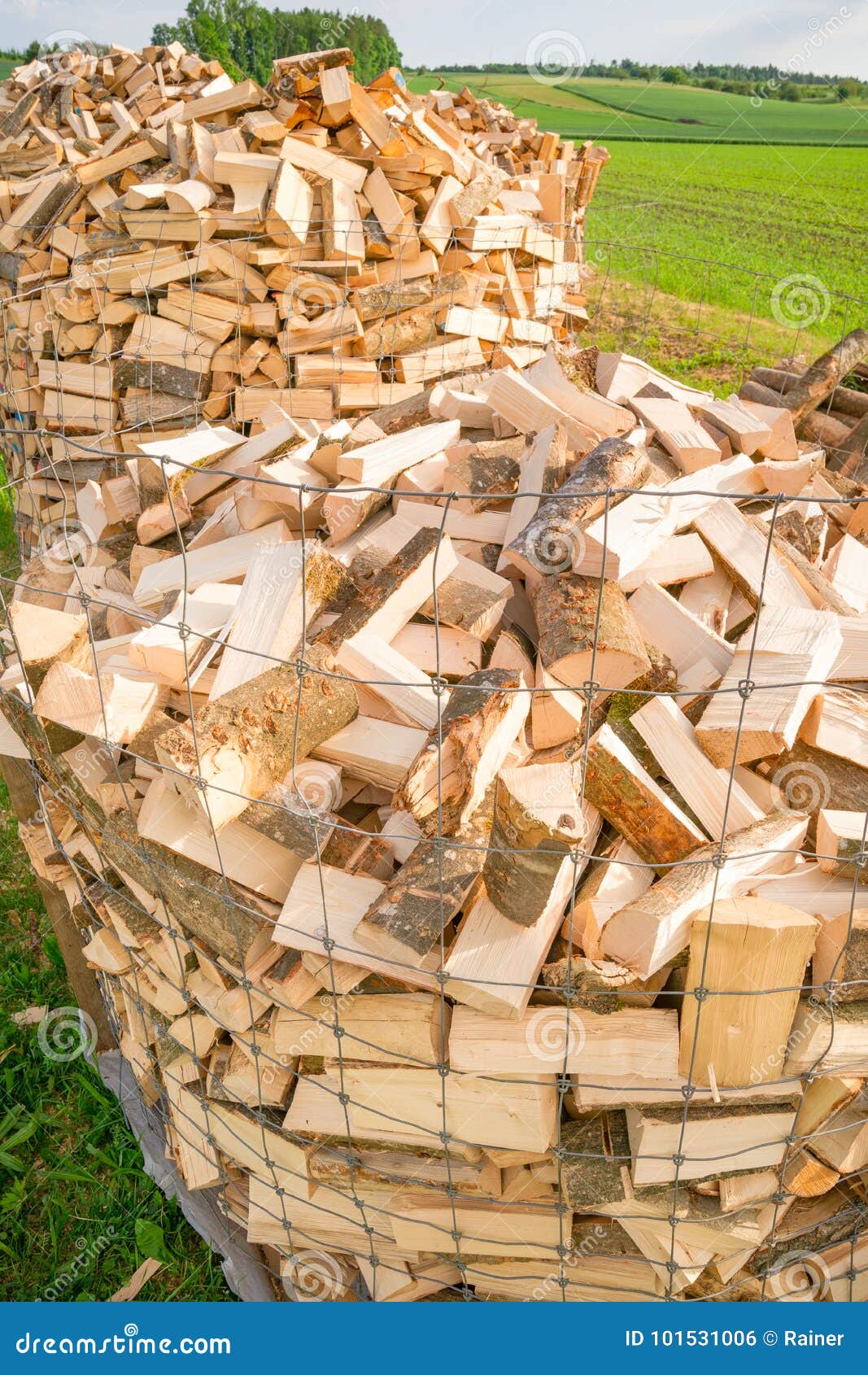 Logs on a lumber yard stock photo. Image of cage, pile - 101531006