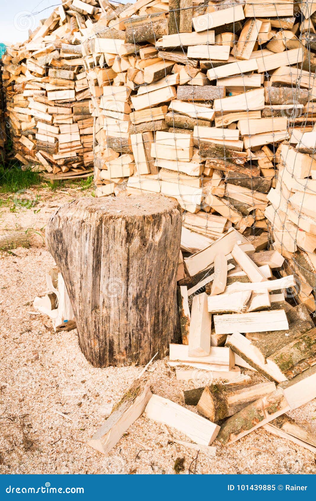 Logs on a lumber yard stock image. Image of sawed, logs - 101439885