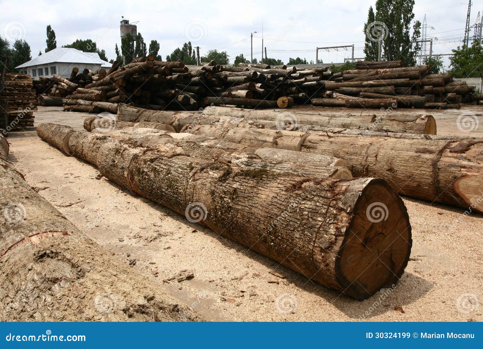 Logs stock image. Image of rough, chop, lumberjack, logging - 30324199