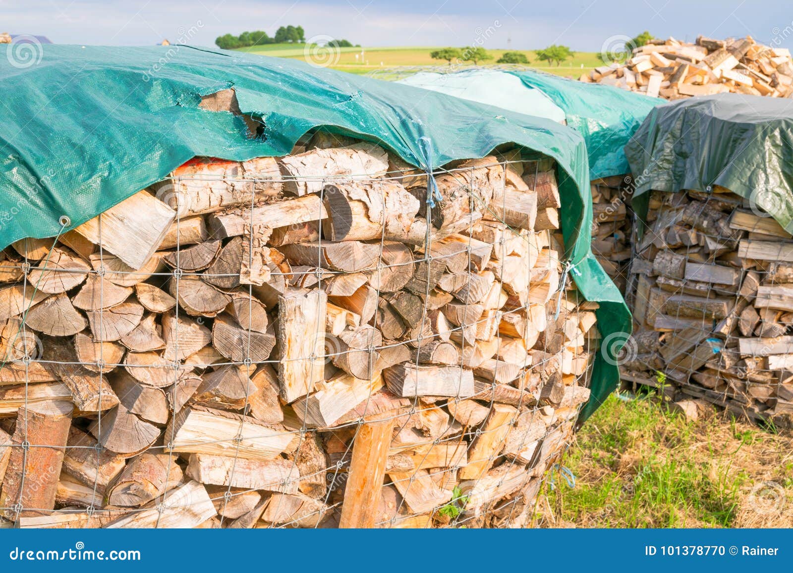 Logs on a lumber yard stock photo. Image of sheet, outdoors - 101378770