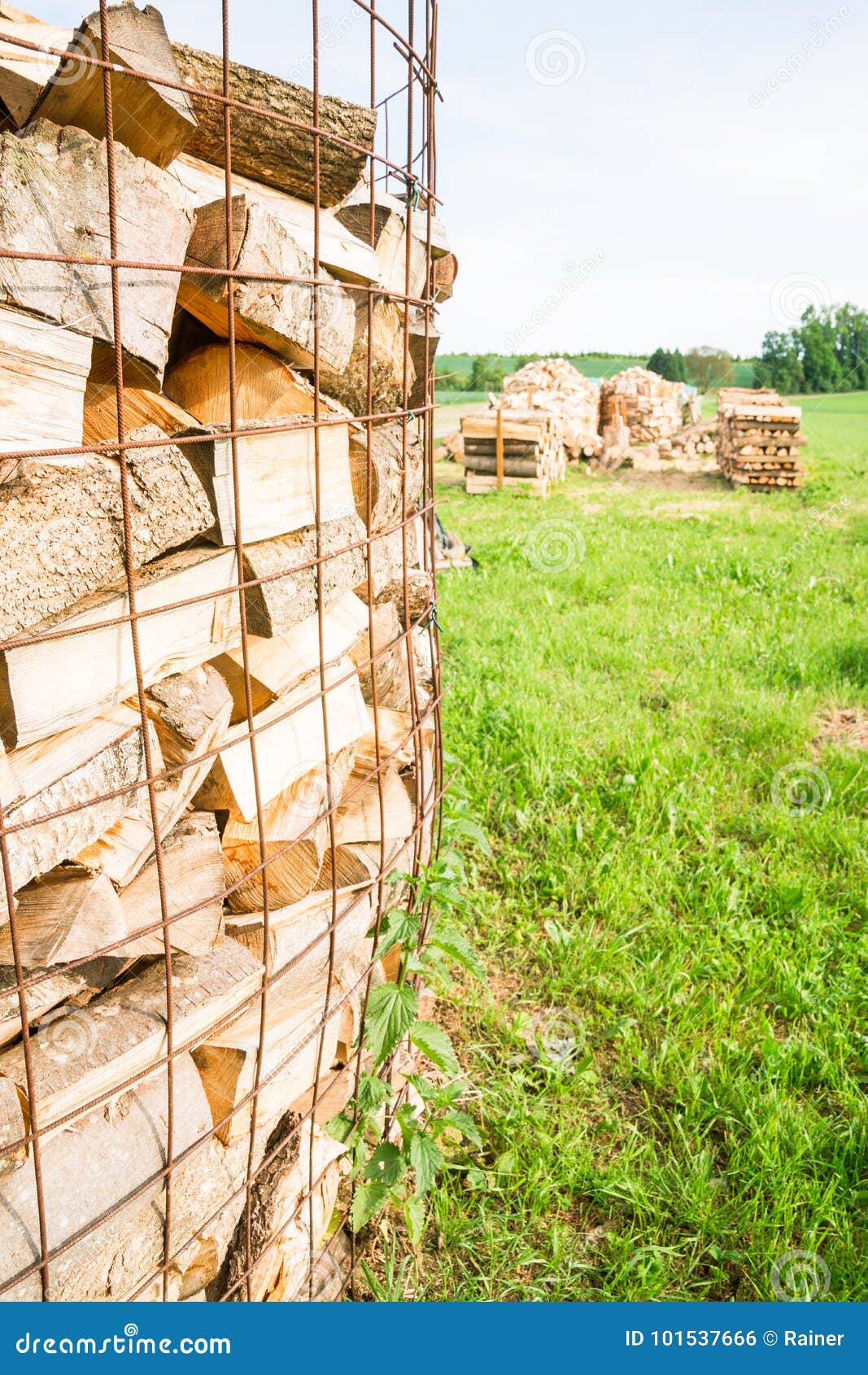 Logs on a lumber yard stock photo. Image of chimney - 101537666