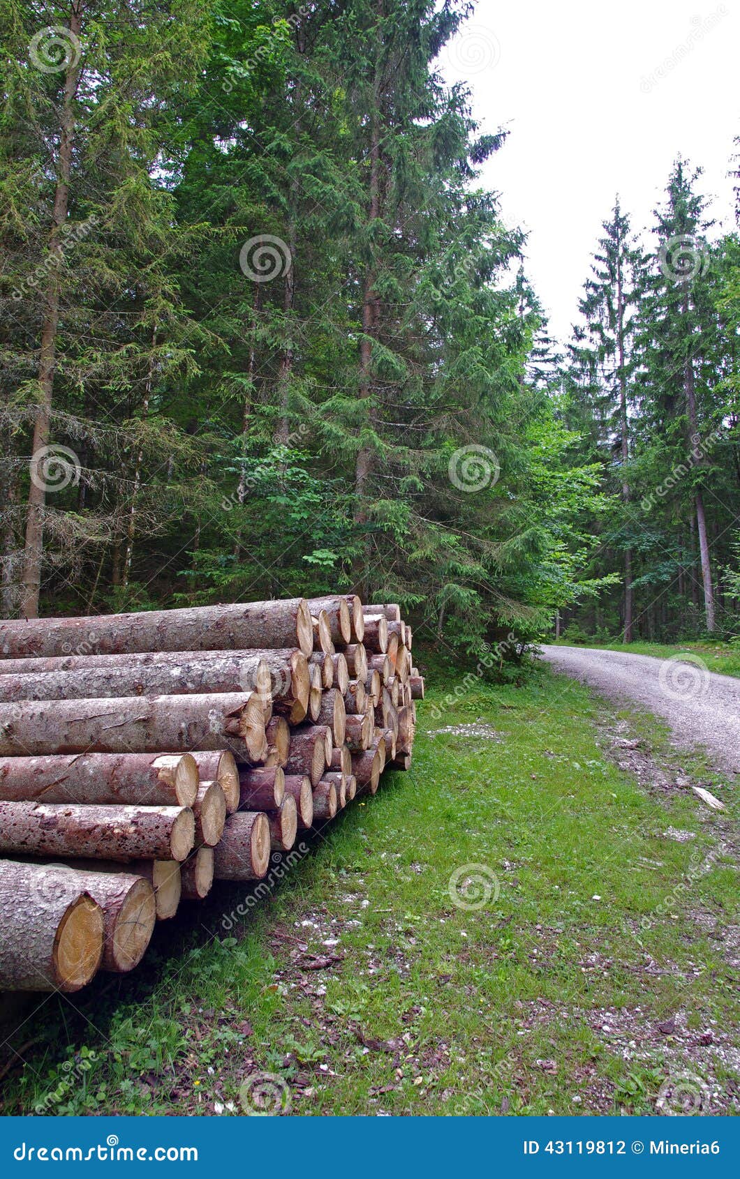Logs in the mountains stock photo. Image of furniture - 43119812