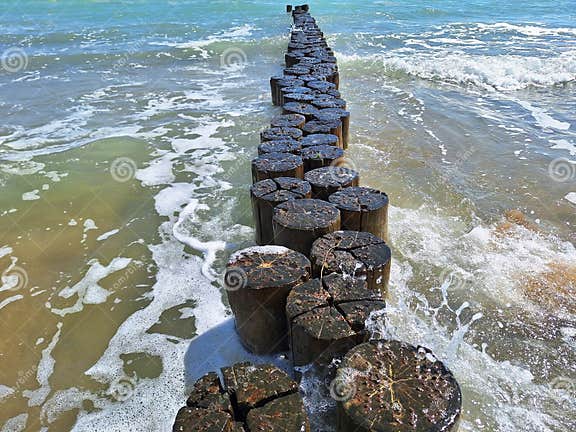 The logs from the old pier stock photo. Image of surface - 347103590