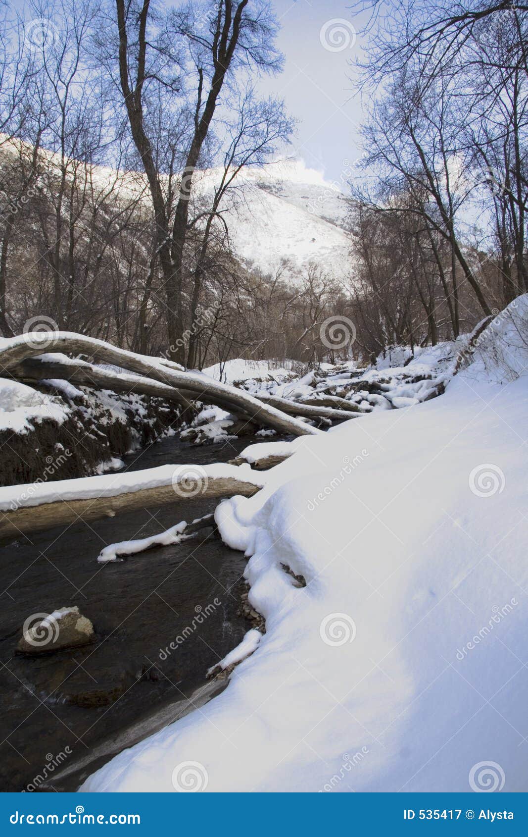 Logs over River in Winter stock image. Image of landscape - 535417