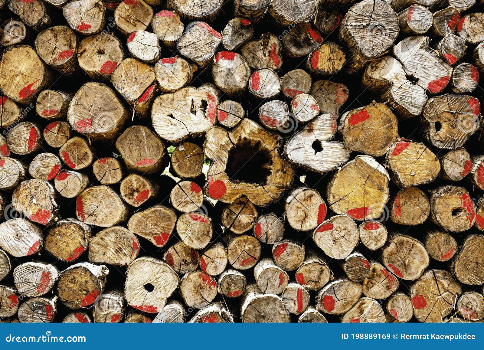 Logs Painted with Color Background Stock Image - Image of deck ...