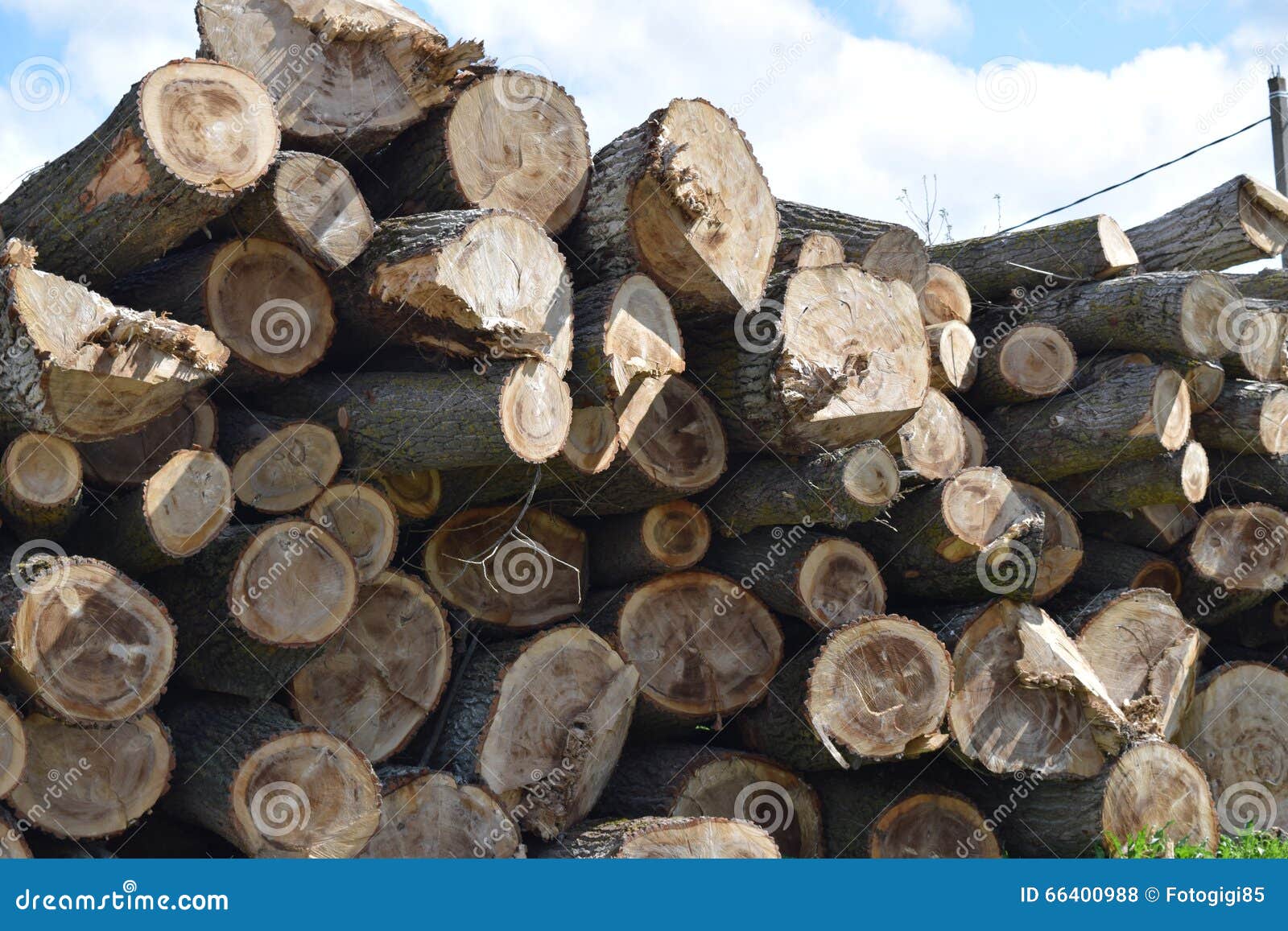 Logs are Piled in a Heap an Front of the Sawmill Stock Photo - Image of ...