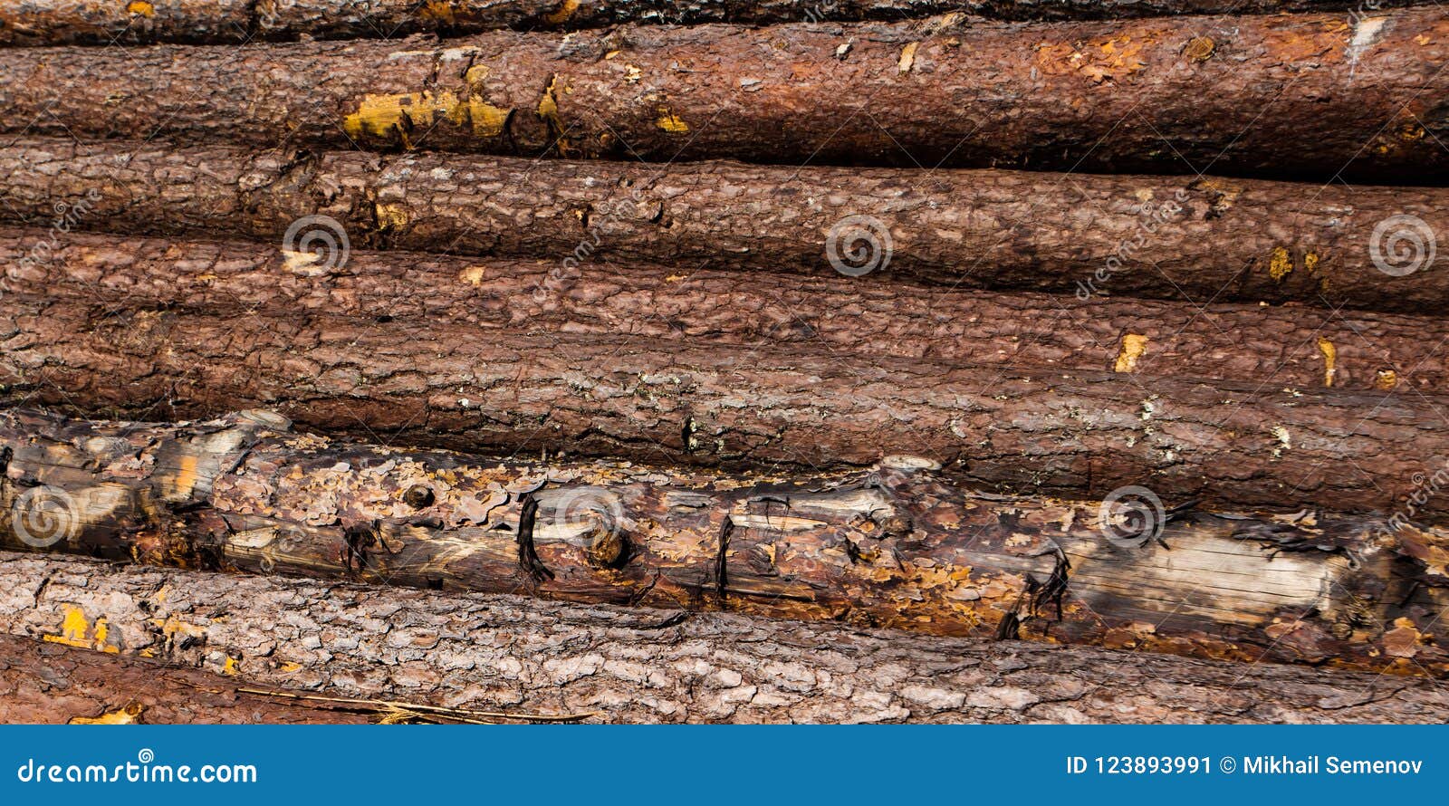 Logs are Piled Up, the Timber Stock Image - Image of wood, plant: 123893991